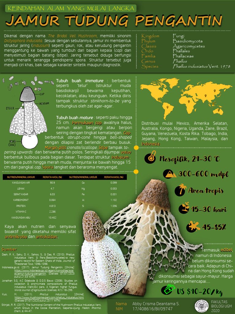 POSTER JAMUR TUDUNG PENGANTIN-ABBY CRISMA-09747 | PDF