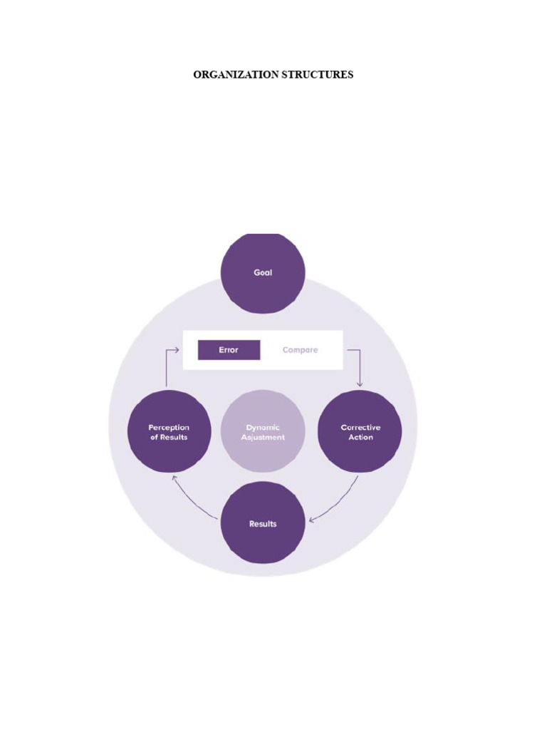 Organisation Structure IOM-1 | PDF | Goal | Organizational Structure