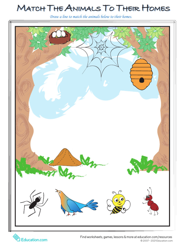 Worksheet Match The Animal | PDF