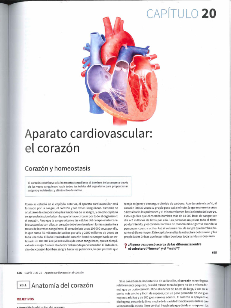 Tortora, Derrickson Principios de Anatomia y Fisiologia 15a Edicion(2 ...