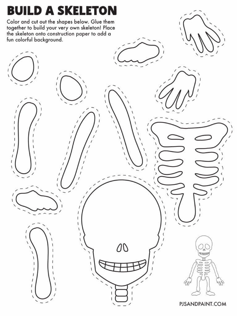 Build A Skeleton | PDF