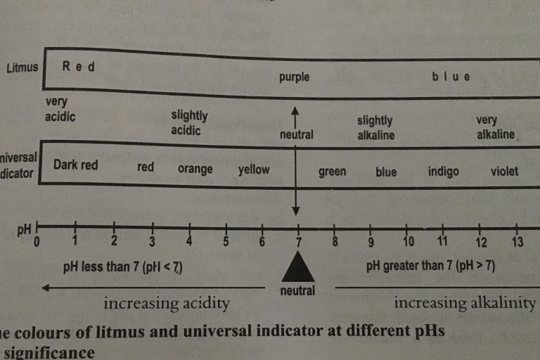 PH Scale | PDF