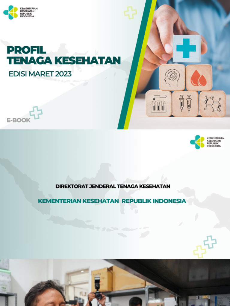 Profil Data Nakes Maret 2023 (3) | PDF