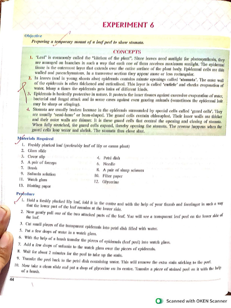 Biology Class 10 Lab Manual | PDF