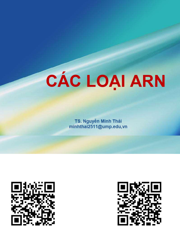CÁC LOẠI ARN Cu Nhan Hoa Duoc 2024 Updated | PDF