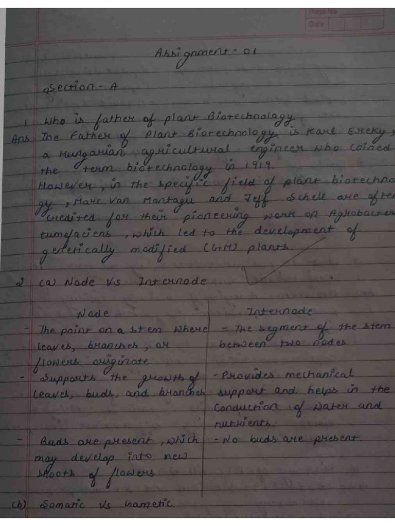 Assi 1 Plant Bio | PDF