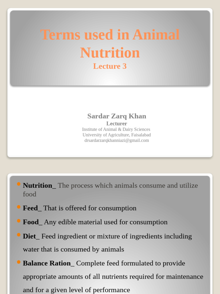 Terms Used in Animal Nutritrion Lec 3 AN 301 | PDF | Dietary Fiber ...