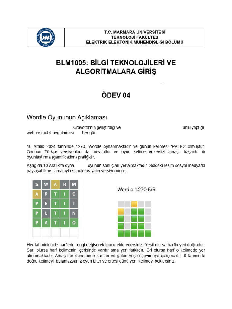 BLM1005 Lab08 - ÖDEV 04 v2 | PDF