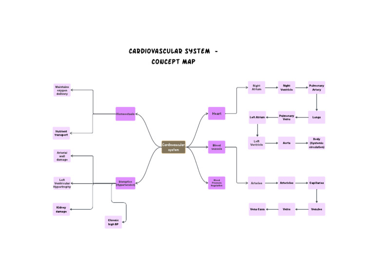 Cardiovascular System Concept Map | PDF