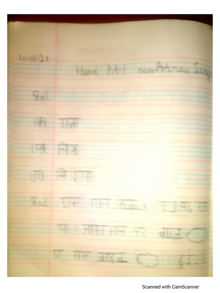 Aarav Singh PDF | PDF