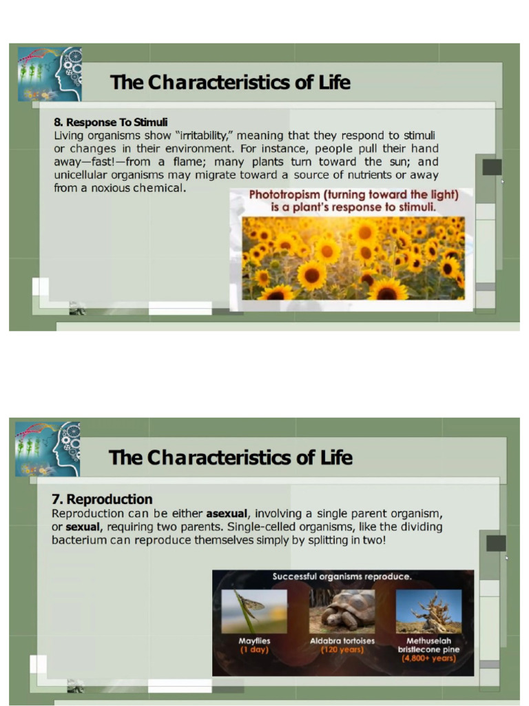 Modern Biology - Lesson 1 | PDF
