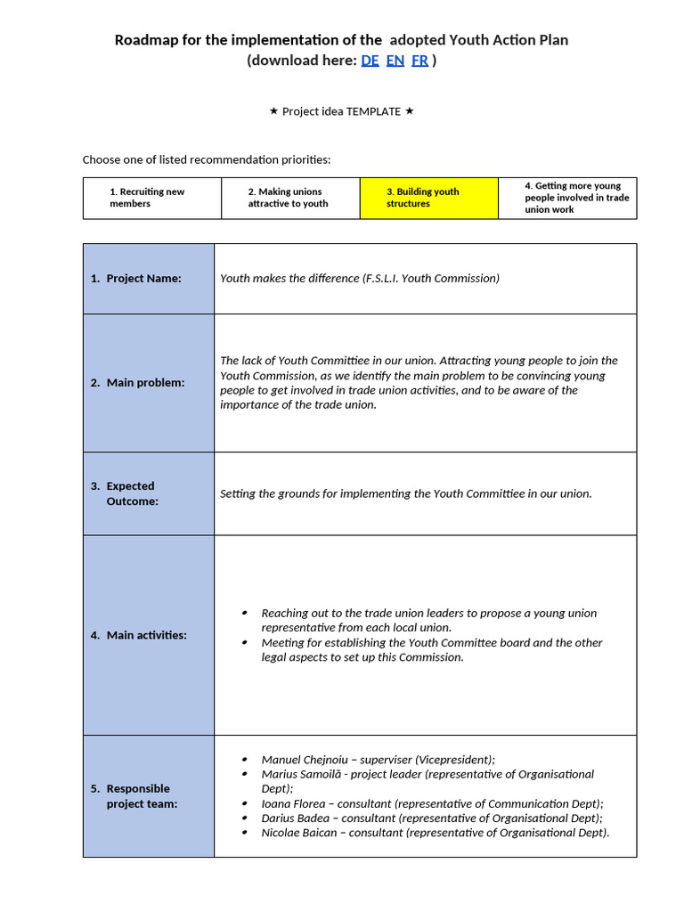 Youth Action Plan Roadmap - Project Idea TEMPLATE | PDF