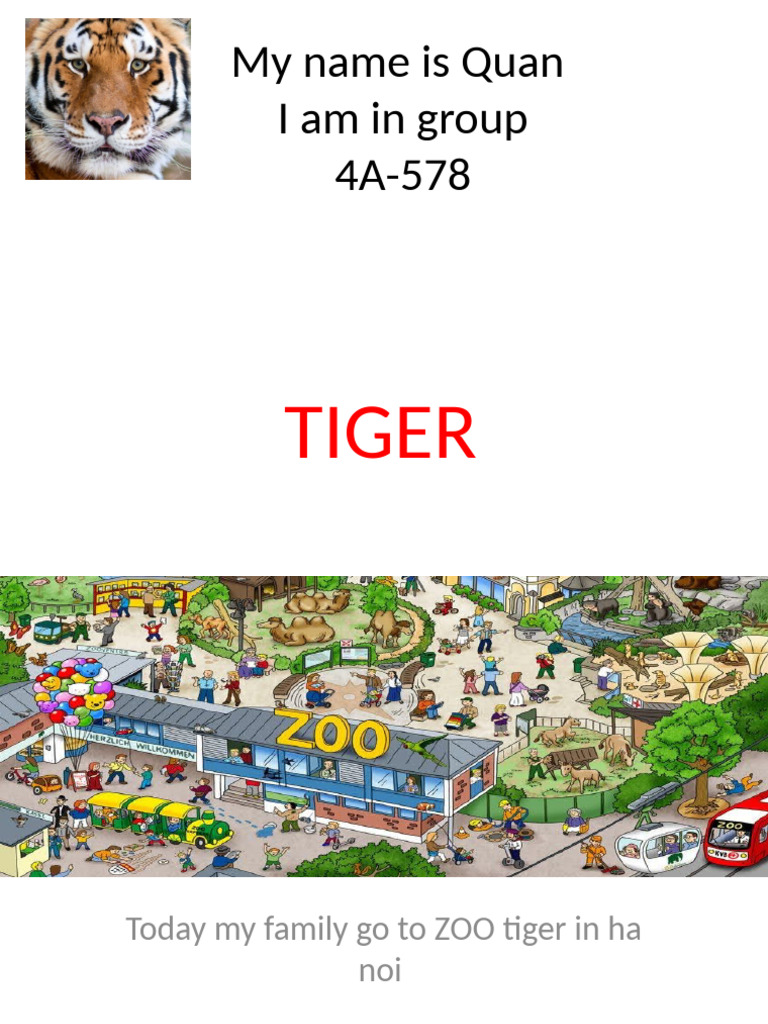 Tigers | PDF