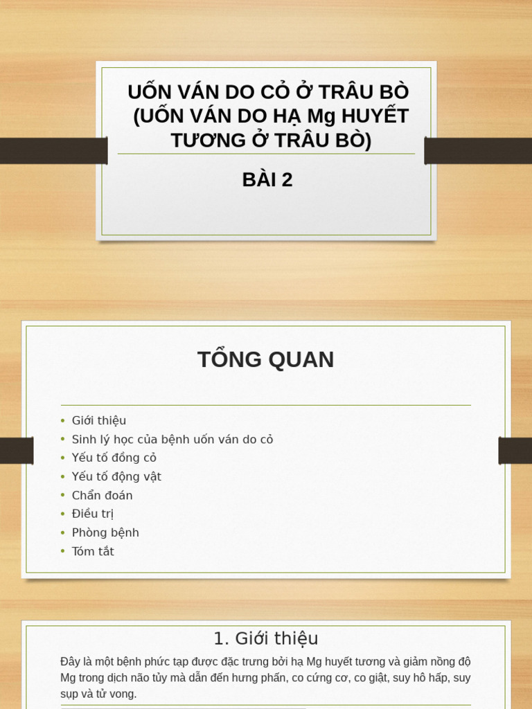 2022-Bai 4 Uon Van Do Co | PDF