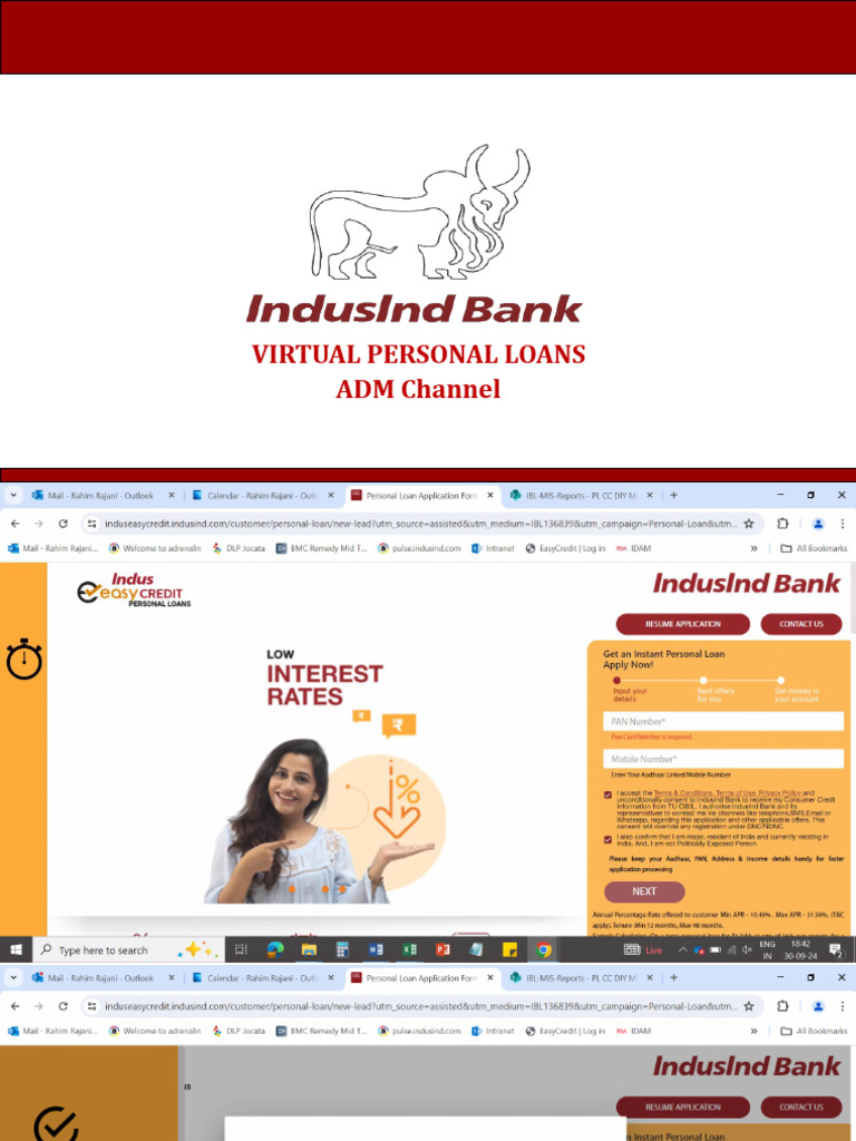 Virtual Personal Loan - DIY Journey - Training Deck | PDF