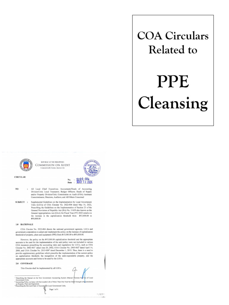 COA C. No. 2024-006 (Threshold Sup. Guidelines) - Booklet | PDF