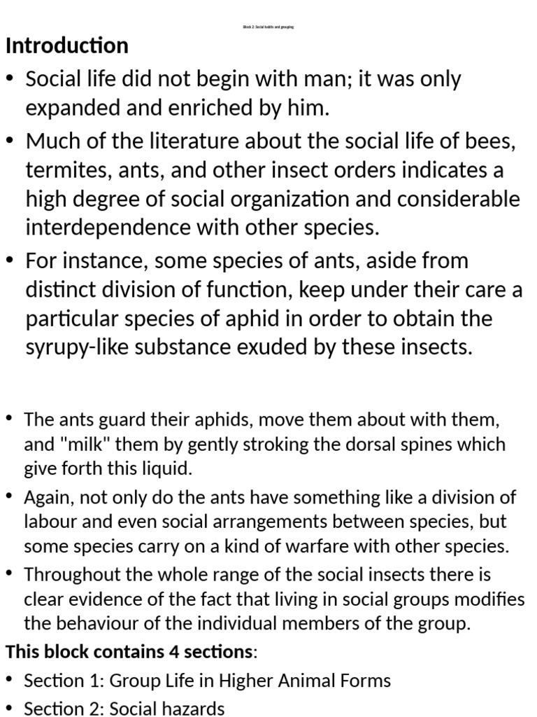 On Topic 3 Group Life in Animal Forms | PDF | Evolution | Ant