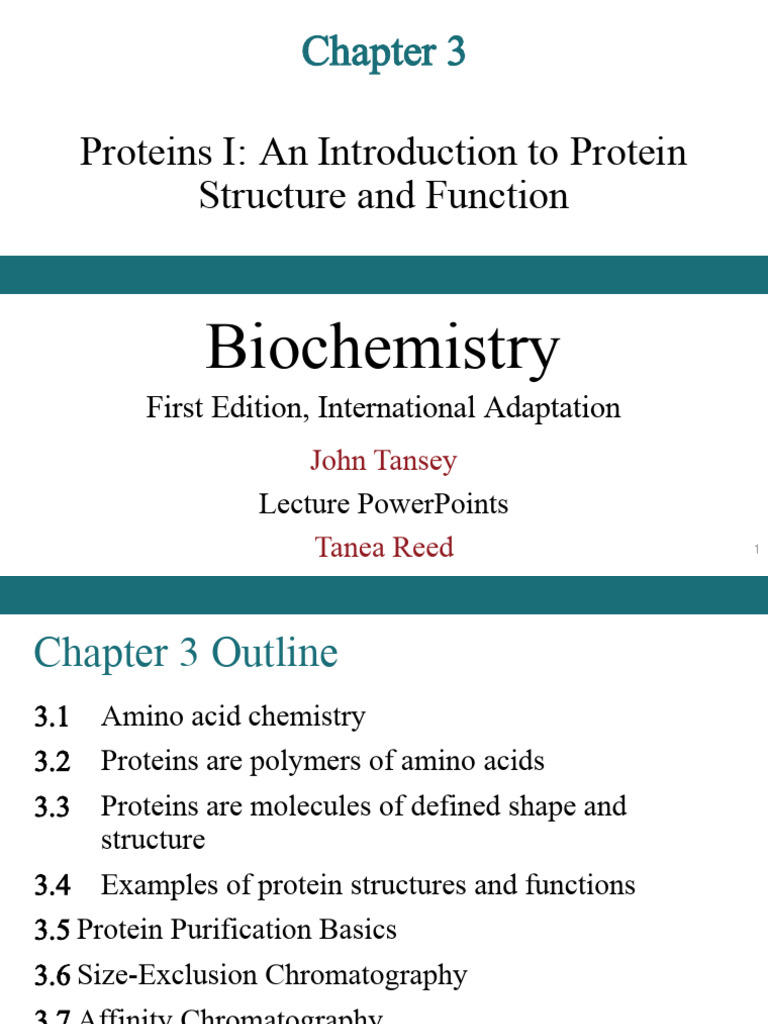 Chapter3. Protein: An Introduction To Protein Structure Anf Function ...