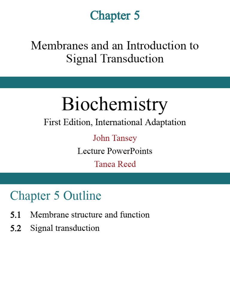 Membrane Structure & Signal Transduction | PDF | Cell Membrane | Cell ...