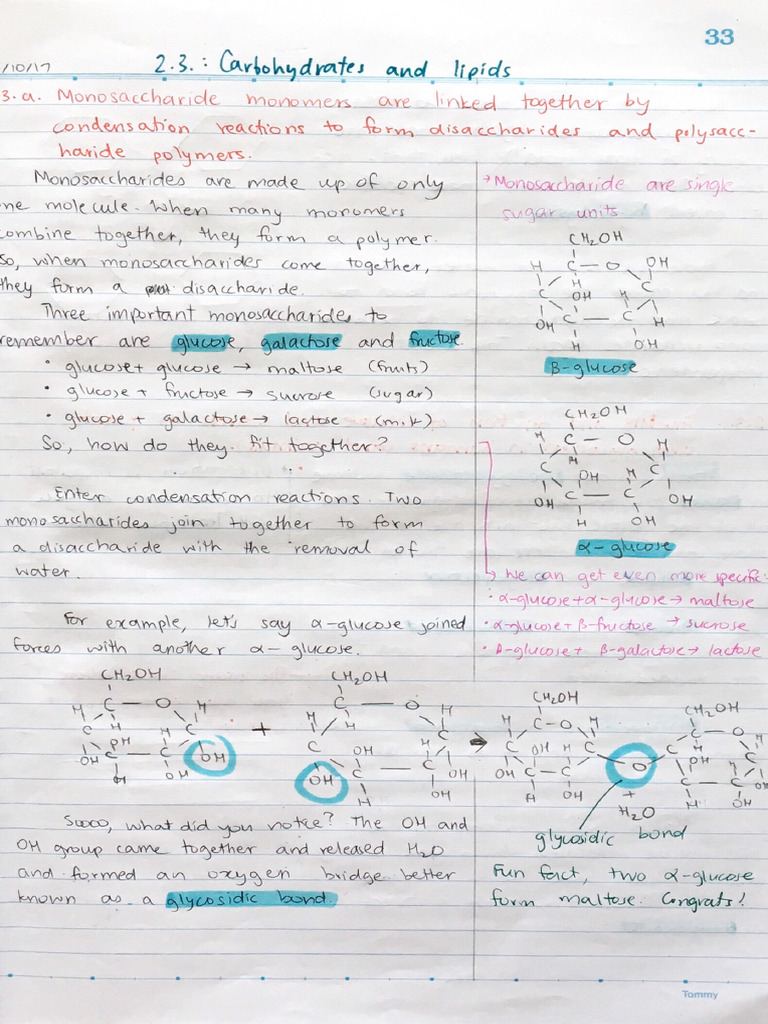 2.3 Carbohydrates and Lipids | PDF
