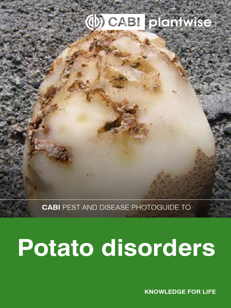 Potato-disorders 病害图谱 | PDF | Insects | Insects And Humans