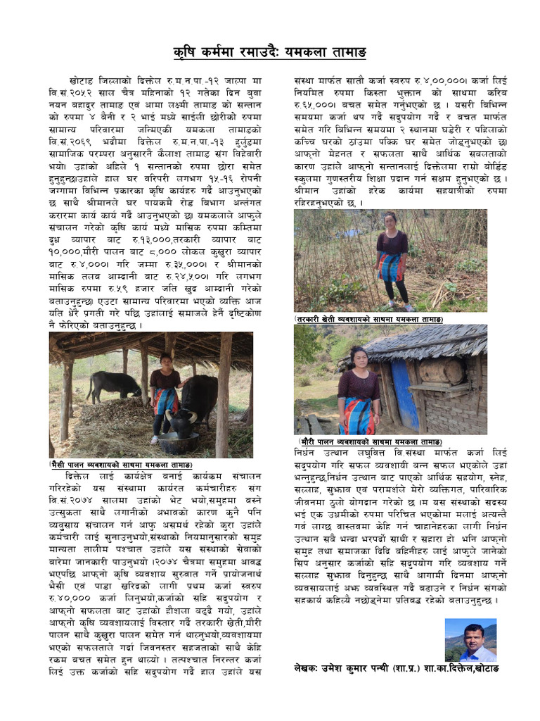 Diktel Success Story | PDF