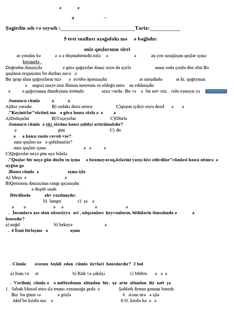 BSQ Öncəsi Yoxlama. Az Dili. IV Sinif | PDF