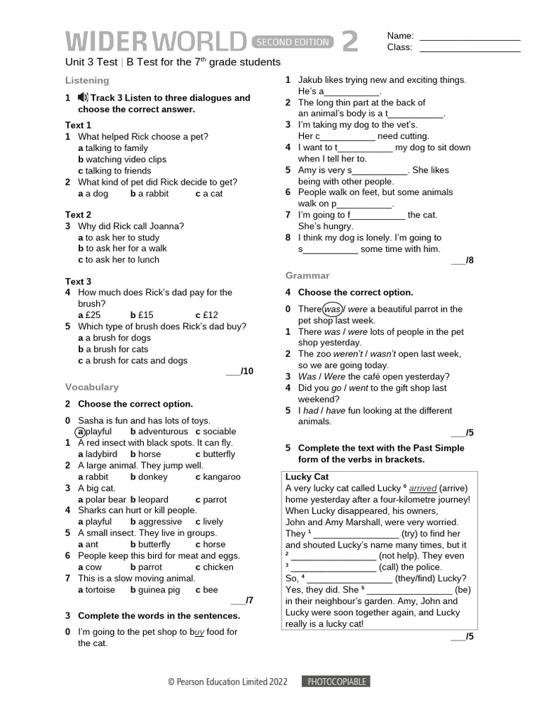 WiderWorld 2ed 2 U3Test GroupB | PDF