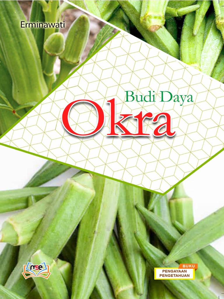 Panduan Budi Daya Tanaman Okra | PDF