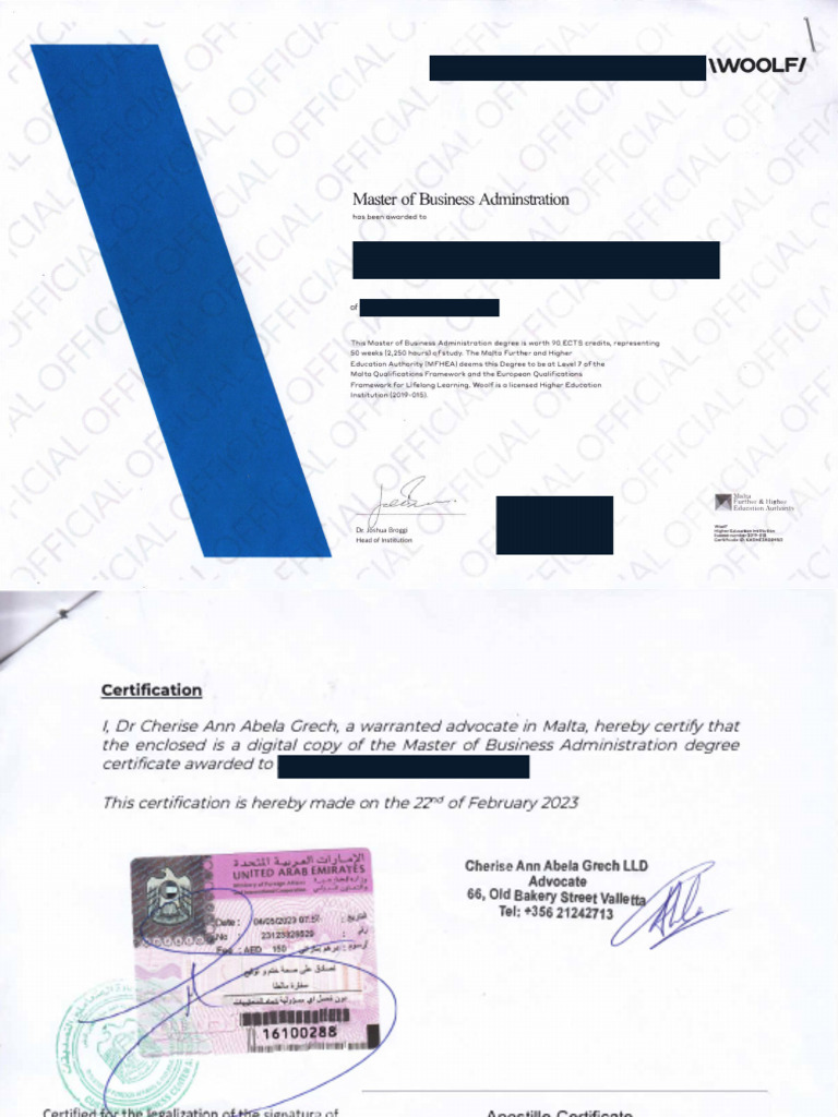 MBA Certificate from Woolf University | PDF