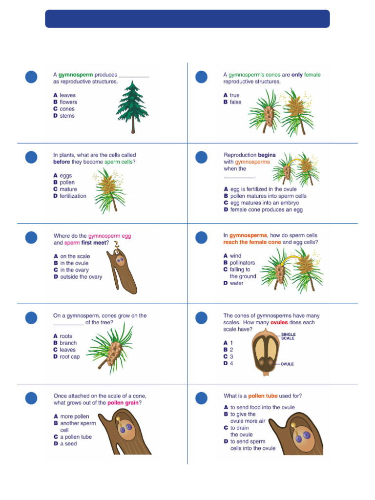 Worksheet Science Grade 6 Plant Reproduction 1 0 | PDF