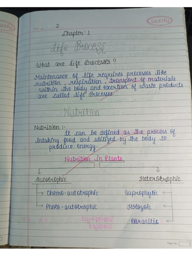 Life Process Full CH Notes Class 10th | PDF