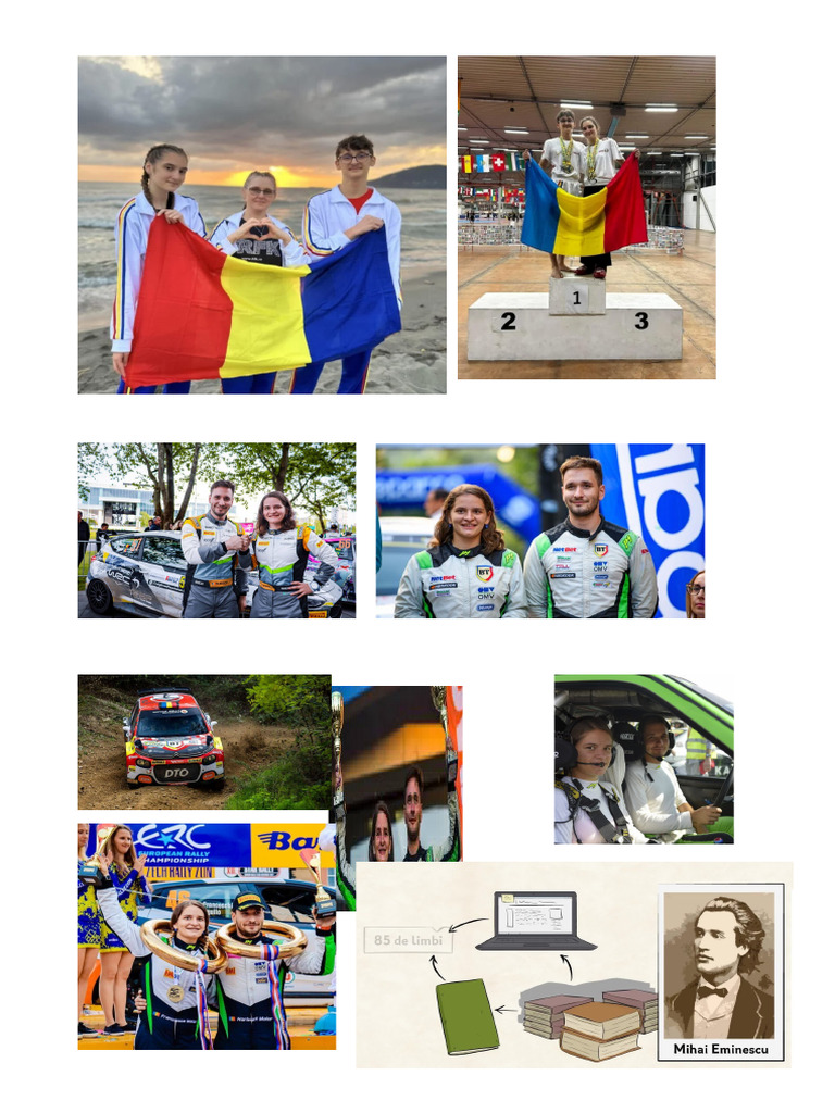 Proiect Engleza | PDF