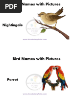 A to Z List of Bird Names | PDF