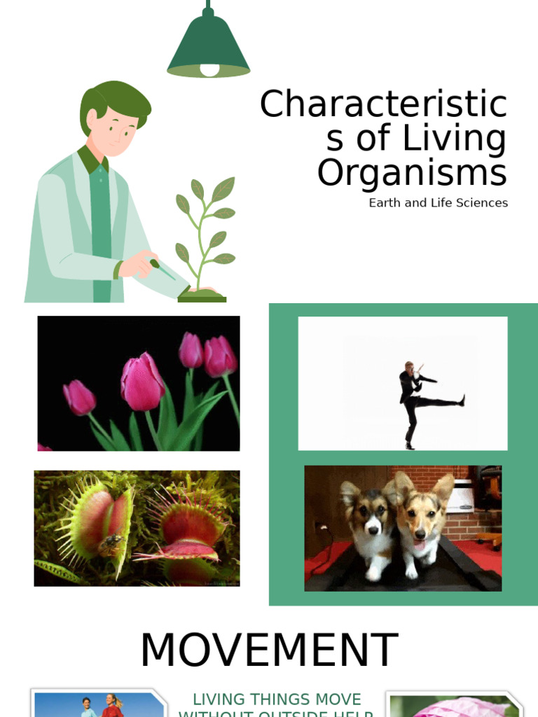 7. Characteristics of a Living Organism | PDF | Reproduction | Cell ...