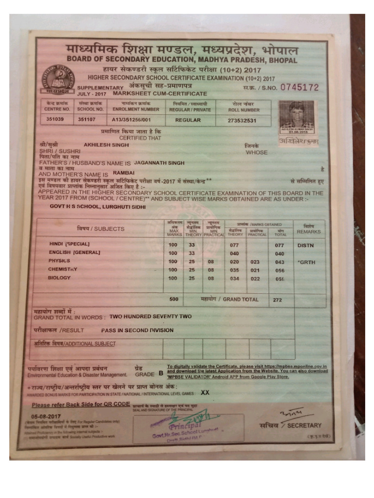 12 Marksheet | PDF