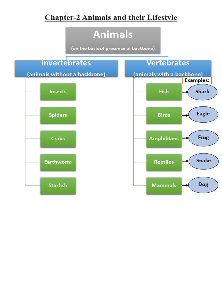Ch-2 Animals and Their Lifestyle Notes | PDF | Tooth | Gill