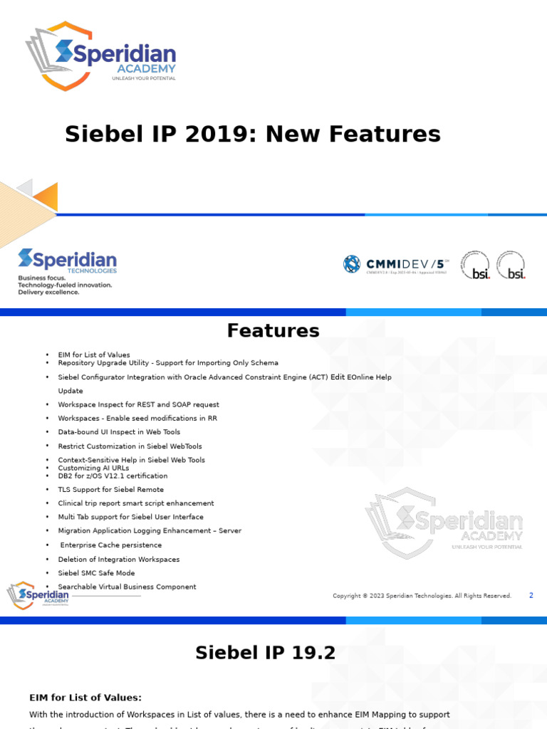 Siebel IP 2019 New Features | PDF | World Wide Web | Internet & Web