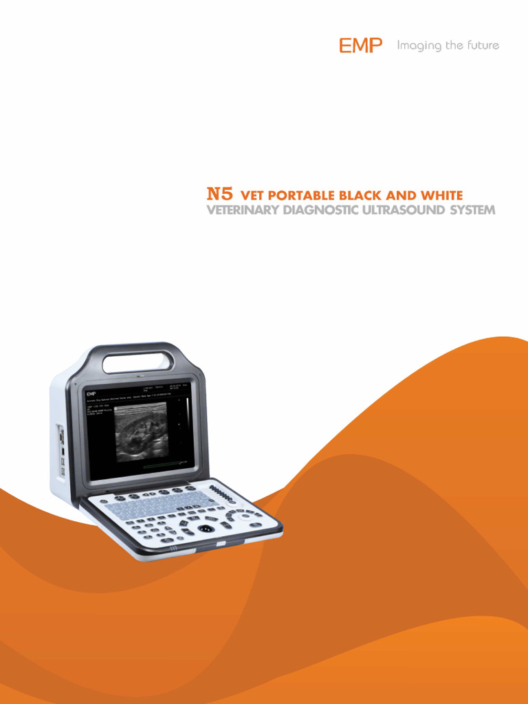 N5 Vet Catalogue-English V3.0 | PDF