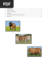 ABGA Boer Goat Breed Standards | PDF | Tooth | Foot