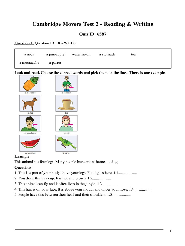 Cambridge Movers Test 2 Answers | PDF