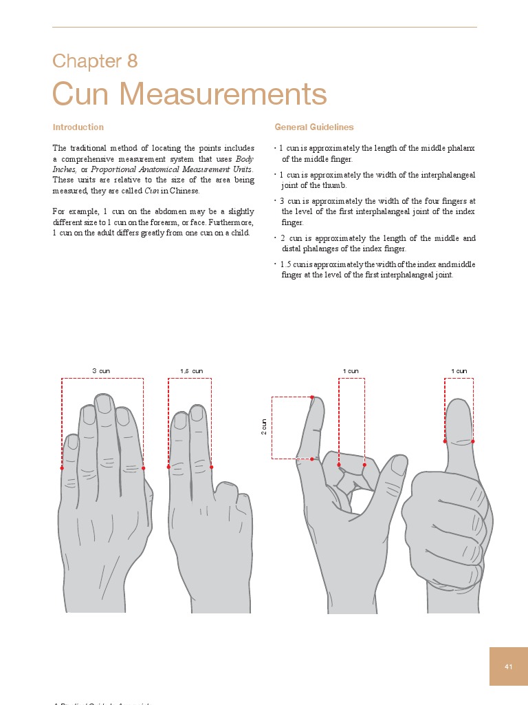 Cun Measurements | Download Free PDF | Anatomical Terms Of Location ...
