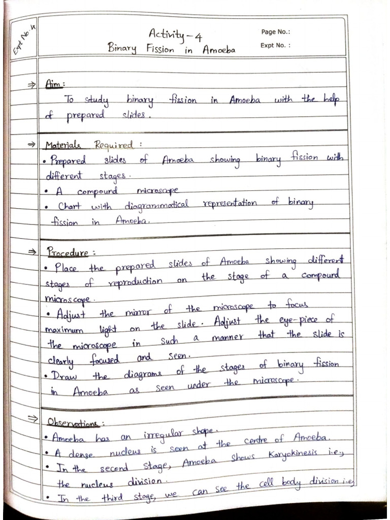 Biology Record 4 | PDF