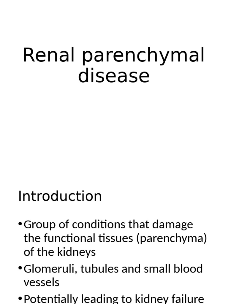 Renal Parenchymal Disease | PDF | Kidney | Kidney Disease