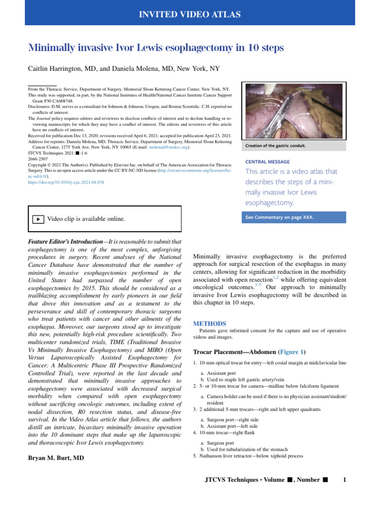 Minimally Invasive Ivor Lewis Esophagectomy in 10 | PDF | Stomach ...