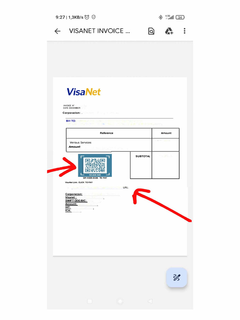 Visanet Invoice and Payment Details | PDF