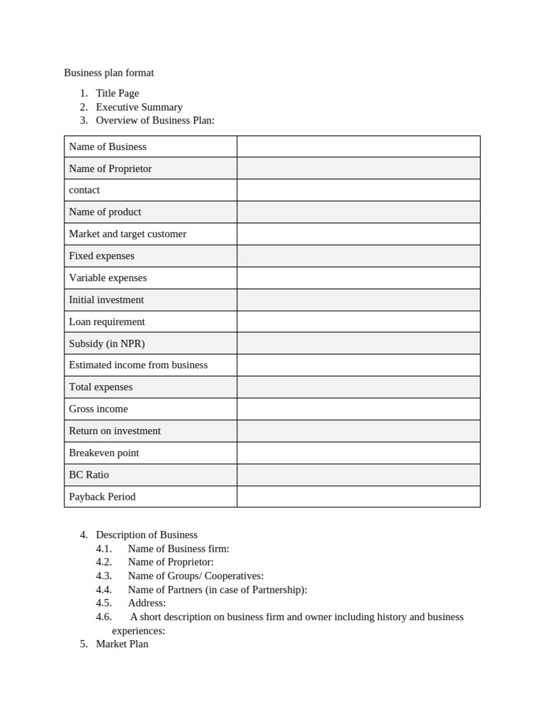 Business Plan Format PDF - Io | PDF | Business | Income