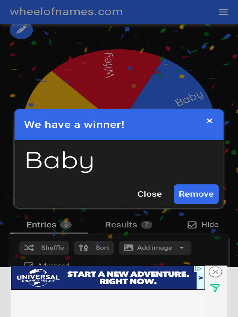 Wheel of Names Random Name Picker 2 | PDF