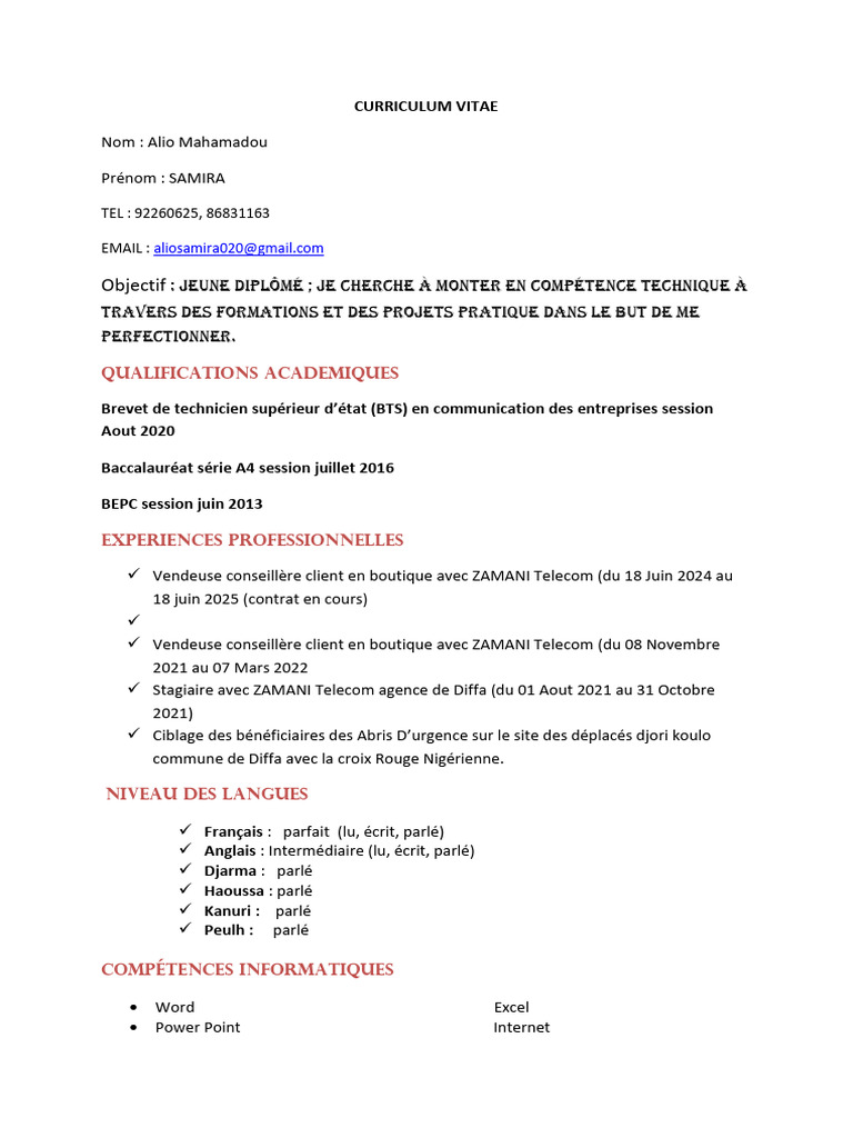 CV de Samira Alio - Télécommunications | PDF