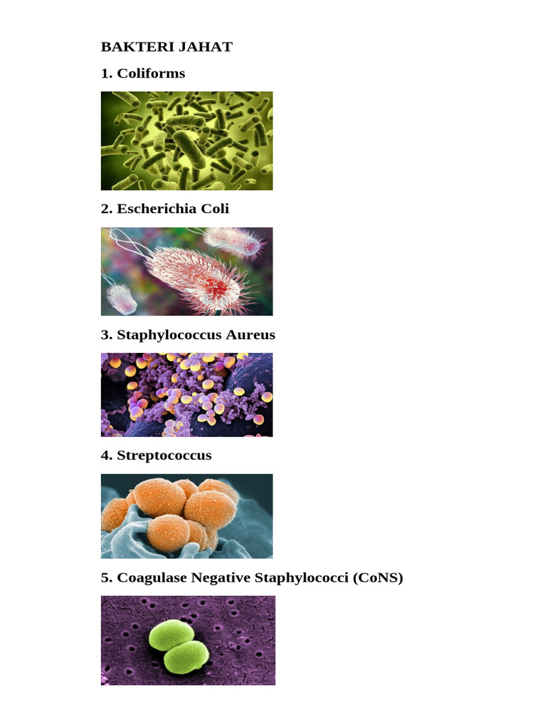 Bakteri Jahat | PDF